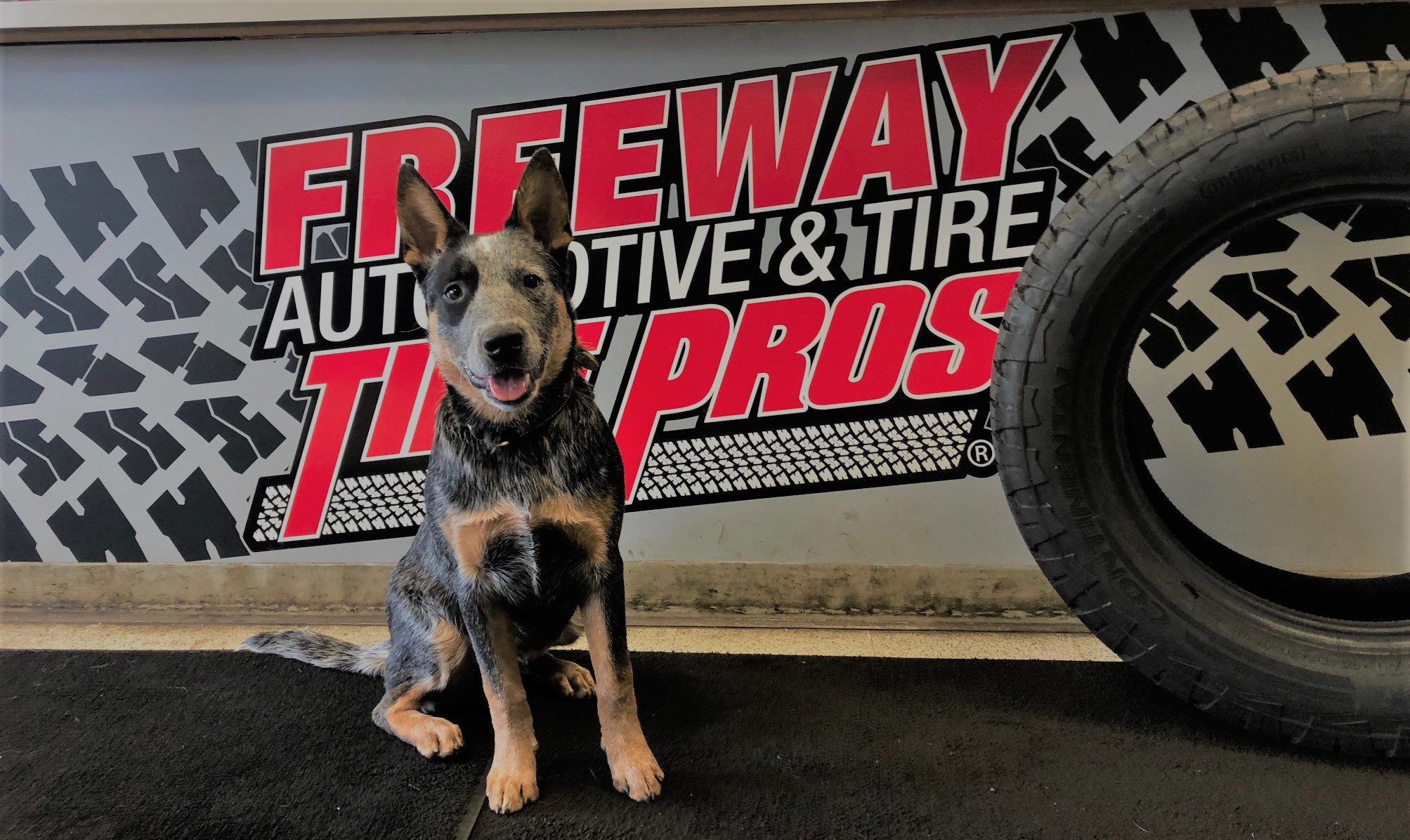 Openbay - Freeway Tire Pros and Automotive